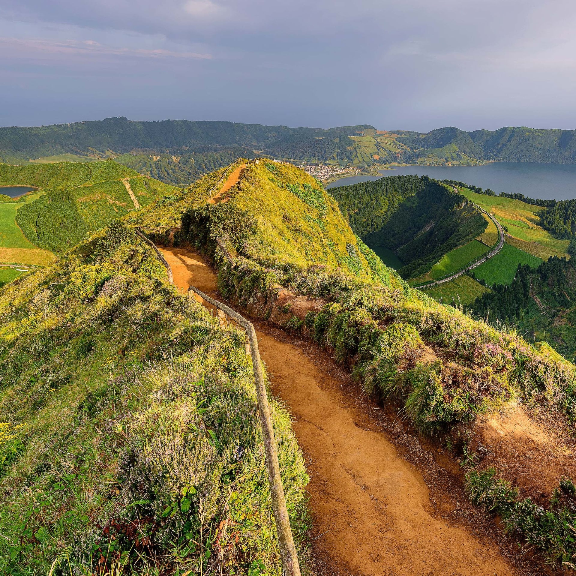 Live-Streams, PPVs, and Sports WatchParties